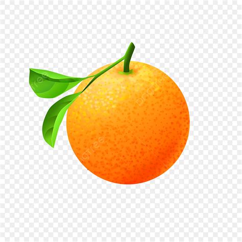 원래 오렌지 소재 무료 일러스트 기발한 주황색 재료 Png 일러스트 및 Psd 이미지 무료 다운로드 Pngtree