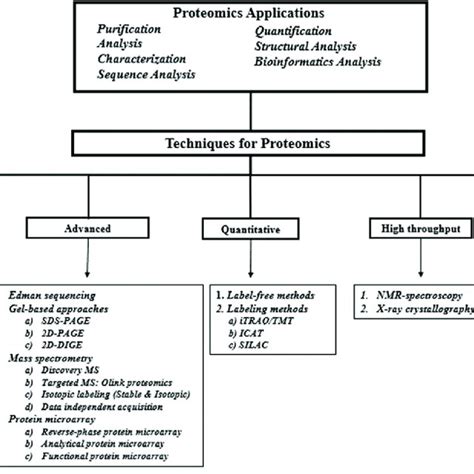 An Overview Of Applications And Techniques Used For Proteomic Analysis