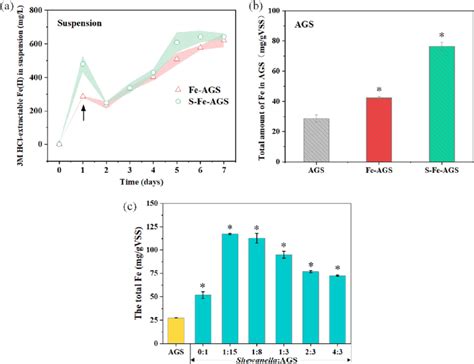 Concentrations Of 3 M Hcl Extractable Feii In Suspensions Of Fe Ags Download Scientific