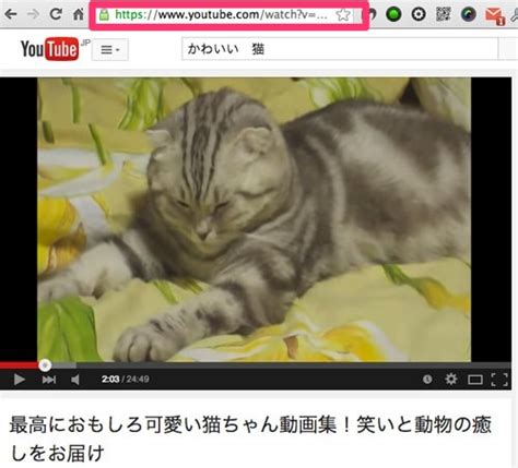 YouTube動画やGoogleMapsをコピペでレスポンシブEmbed Responsively co jin