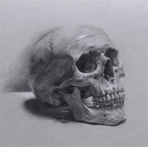 Scalp Sketch For Beginners Sketches Scalps