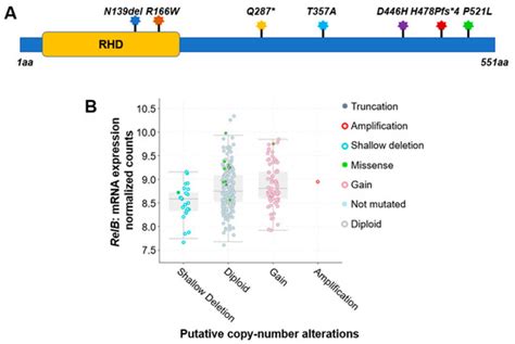 Genetic Changes of NF κB Signaling in Colorectal Cancer Encyclopedia MDPI