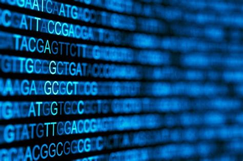 Next Generation Sequencing For Bacterial Identification Charles River