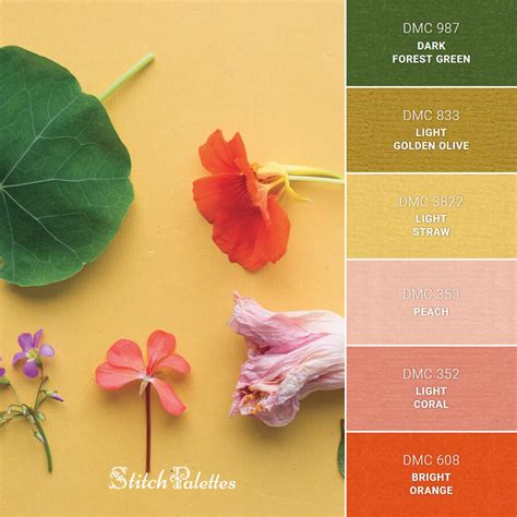 Assorted Flowers Embroidery Color Palette With Thread Codes