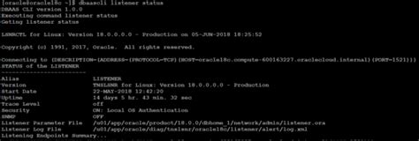 dbaascli oracle database cloud service databaseorg