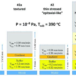 Diagram Of Process Flow For Four Different Samples Download