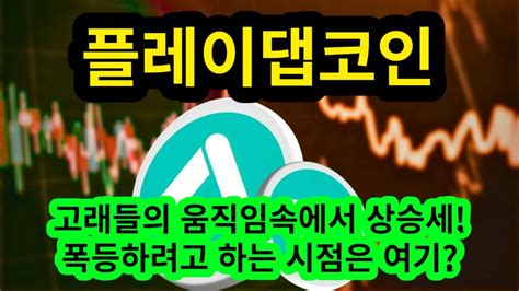 플레이댑코인전망플레이댑코인분석플레이댑코인정보 플레이댑 코인 고래들의 움직임속에서 상승세 폭등하려고 하는 시점은 여기 Youtube