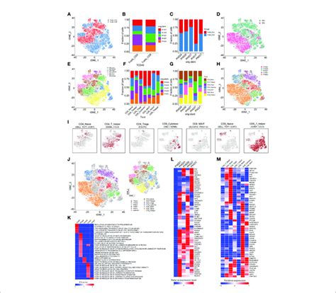 Identification Of T Cell Clusters A The Cell Distribution Of Cd4 Download Scientific