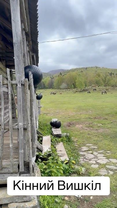 коні кіннийклуб кінніпоходи кіннімандри верховаїзда Youtube