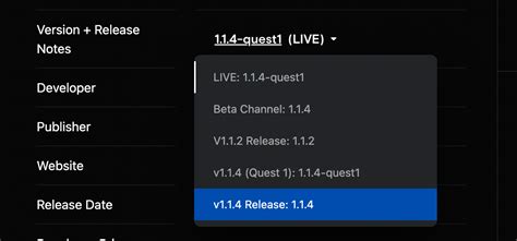 Windows 11 File Sharing Skybox