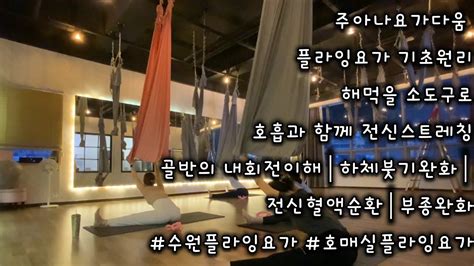 주아나요가다움 플라잉요가 기초원리해먹을 소도구로호흡과 함께 전신스트레칭 골반의 내회전이해│하체붓기완화│전신혈액순환│부종완화