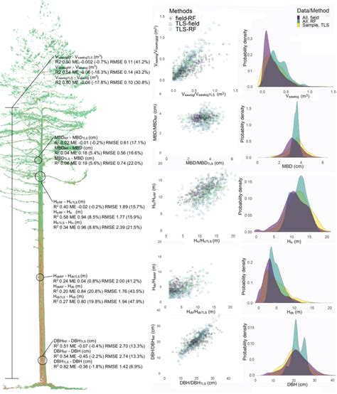 Comparison Of Wood Quality Indicator Estimations From Terrestrial Laser Download Scientific
