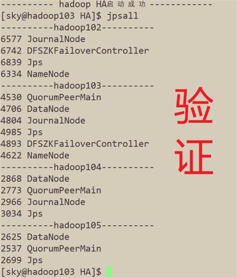 hadoop jps命令不显示进程如何解决？ hcrm博客