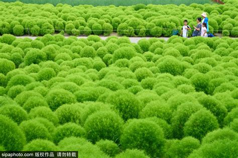 游览国家自然博物馆外景