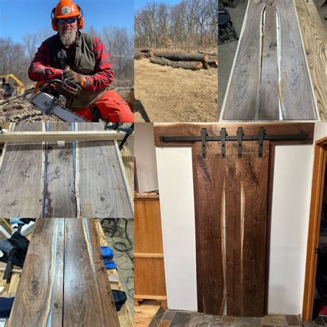 Eric Freier On Linkedin Cutting Down A Tree Doesnt Mean The End For It Continues To Thrive In…