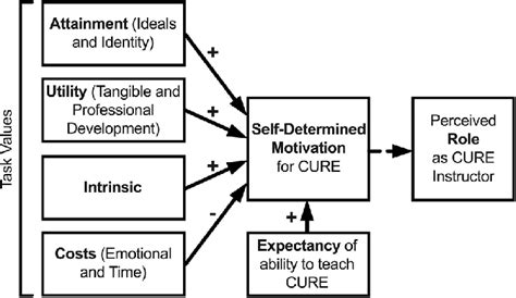 Expectancy Value Model Of How Task Values And Expectancy To Succeed May
