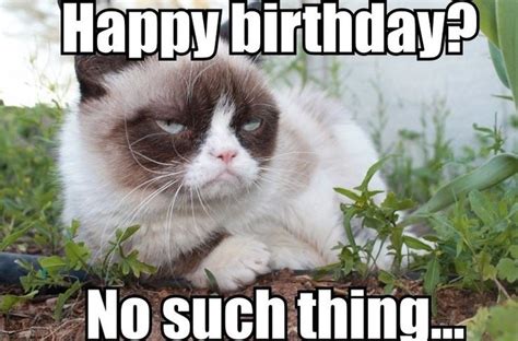 Happy Birthday Meme Grumpy Cat