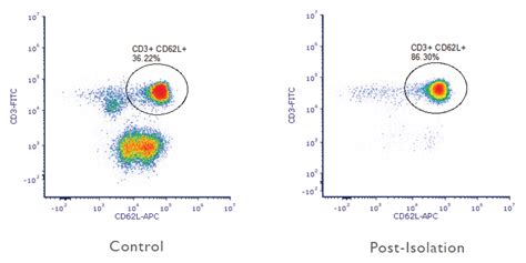 Mouse Naïve T Cell Isolation Kit Akadeum Life Sciences