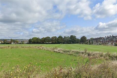 Cockapoo Killed After Attack From Xl Bully Type Dog