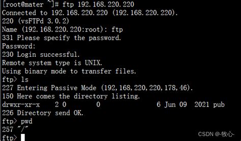 centos7中的vsftpd的部署实施 centos7vsftpd部署 csdn博客
