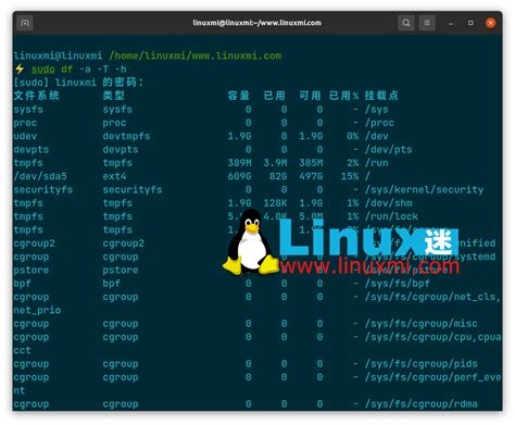 linux 中列出挂载驱动器的 4 个命令 linux迷