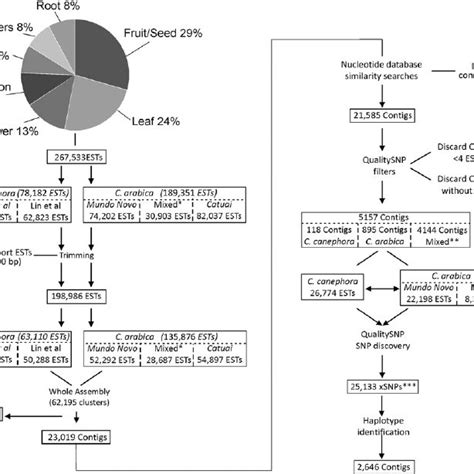 Flow Diagram Of The Pipeline For Data Cleaning EST Assembly SNP Download Scientific Diagram