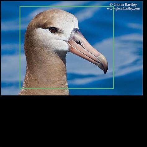 Tutorial Spec Error Message Type Regularizerconfig Has No Field