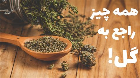 ماری جوانا با ما چه می کند؟ زیست شناسی برای همه Youtube