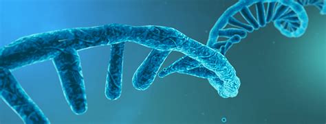 Complete Guide To Understanding Single Cell RNA Seq RNA Seq Blog