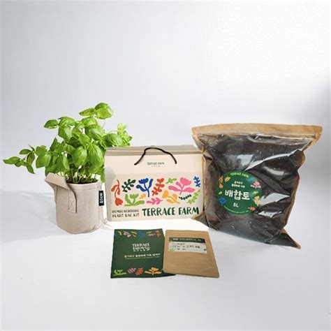 바질 키우기 세트 테라스팜 플랜트백 홈가드닝 키트 하우숩