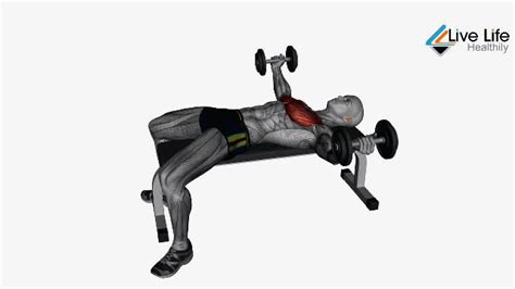 12 Dumbbell Chest Exercises For Building A Strong Upper Body