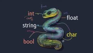 Variables Python le guide du débutant pour tout comprendre