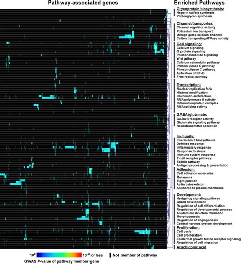 Unsupervised Hierarchical Clustering Of Enriched Pathways Gene Sets