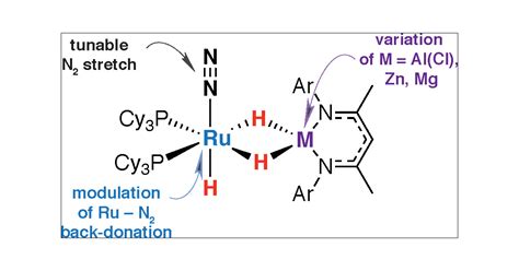 Tunable Binding Of Dinitrogen To A Series Of Heterobimetallic Hydride Complexes Organometallics
