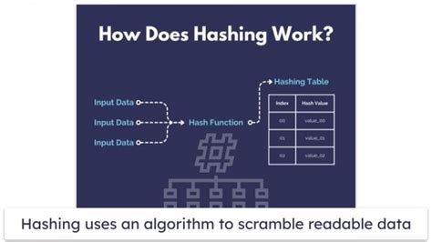 Hashing Vs Encryption Whats The Difference Full 2025 Guide