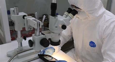 Raid 0 Vs Raid 1 Performance Redundancy And Data Safety