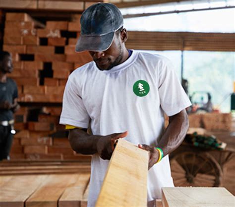 Top Quality European Beech Wood For Sale At Best Price