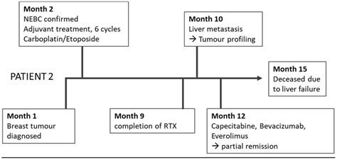 Timeline Of Patient 2 Download Scientific Diagram