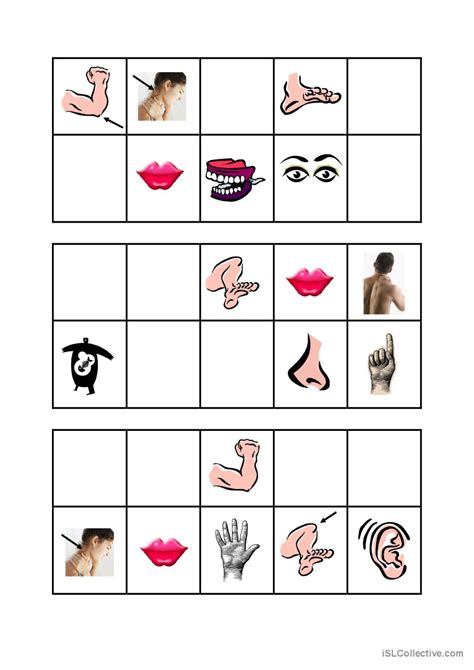 Corps Humain Français Fle Fiches Pedagogiques Pdf And Doc