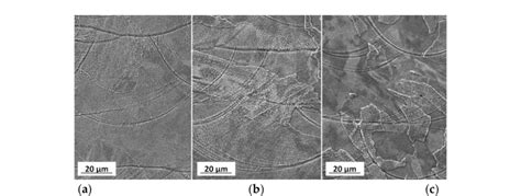 Sem Images Illustrating Microstructures Of Lpbf 316 L Steel In A Download Scientific Diagram