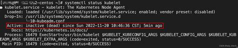 k8s学习 cka真题 集群故障排查kubelet cka master节点故障 csdn博客