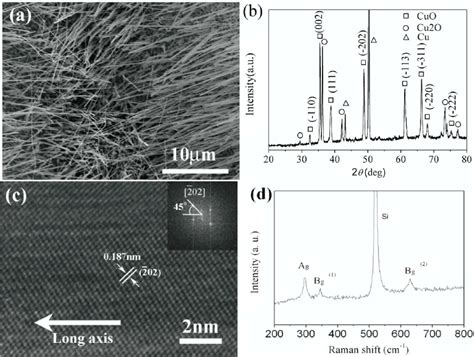 a an sem image of free standing cuo nanowire arrays b xrd pattern