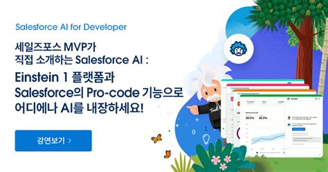 Salesforce Ai For Developers 세일즈포스 Mvp가 직접 소개하는 Salesforce Ai