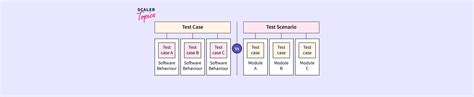 Difference Between Test Case And Test Scenario Scaler Topics