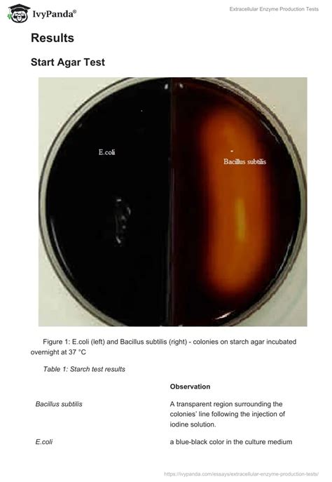Extracellular Enzyme Production Tests Words Report Example