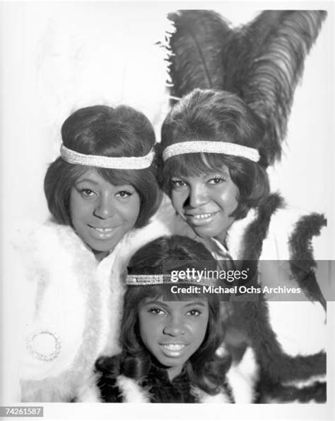 123 Dixie Cups Photos And High Res Pictures Getty Images