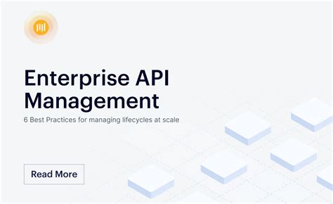 Enterprise Api Management Tactics For Lifecycles At Scale Digitalml