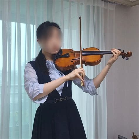 성인 연습용 바이올린 고르는법 내돈내산 입문용 가격대 추천 튜닝 네이버 블로그