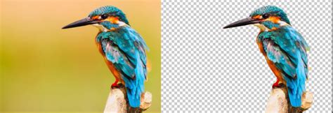how to use the photoshop select subject feature photoshop tutorial