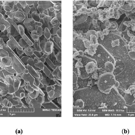 ftir spectra of a cao b al 2 o 3 and c 75 cao 25 al 2 o 3